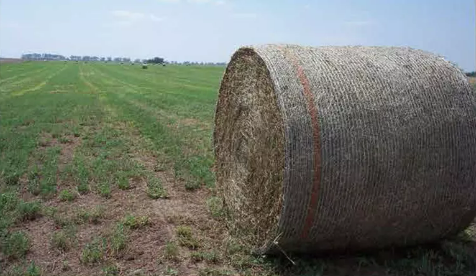 Bale Net Wrap – Xuntang Technology Material Co.,Ltd